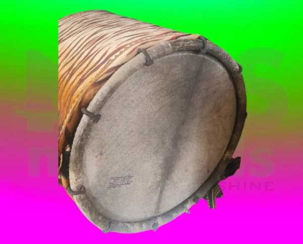 Udal / Kailaya Vathiyam / Shivan Vathiyam Musical Instrument from NMS ...